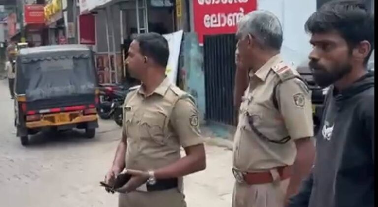 KOCHI NETTOOR | കൊച്ചി നെട്ടൂരിൽ രാത്രി യാത്രക്കാരെ ഭയപ്പെടുത്തിയ ...